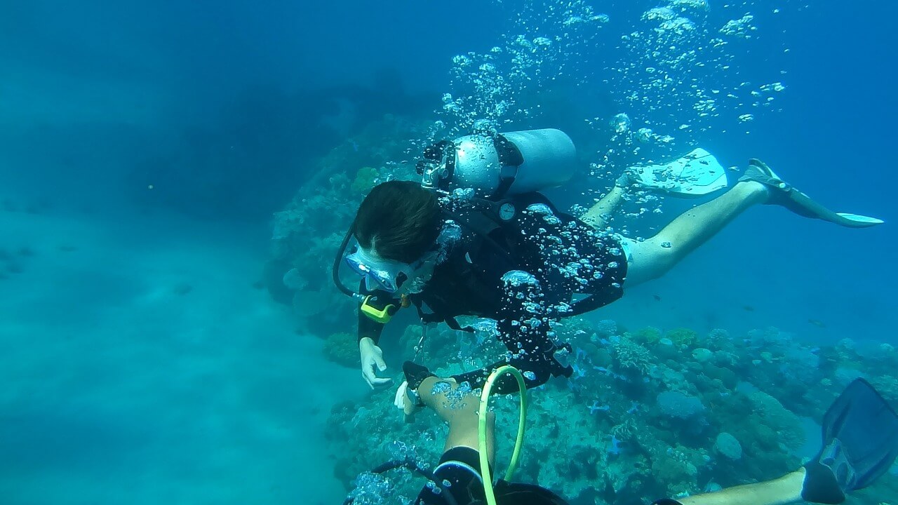 Scuba Diving Certification Requirements Your Guide To Open Water Scuba Diving Certification Requirements Your Guide To Open Water